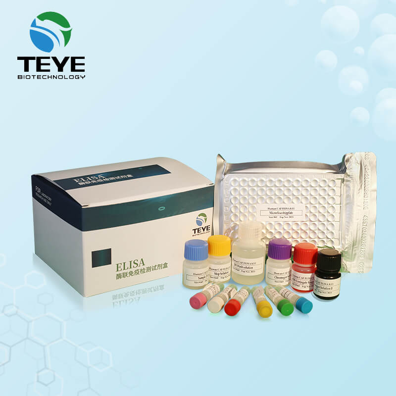 大鼠Ⅰ型胶原C端肽 (CTX-Ⅰ) elisa试剂盒 - 上海腾翌生物科技有限公司官网