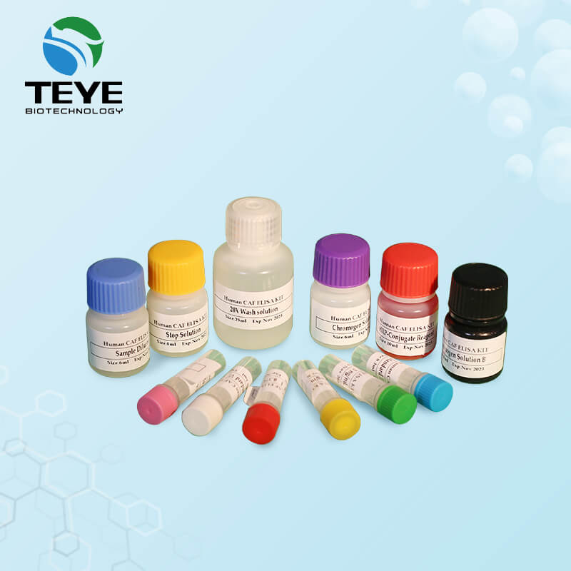 大鼠Ⅰ型胶原C端肽 (CTX-Ⅰ) elisa试剂盒 - 上海腾翌生物科技有限公司官网